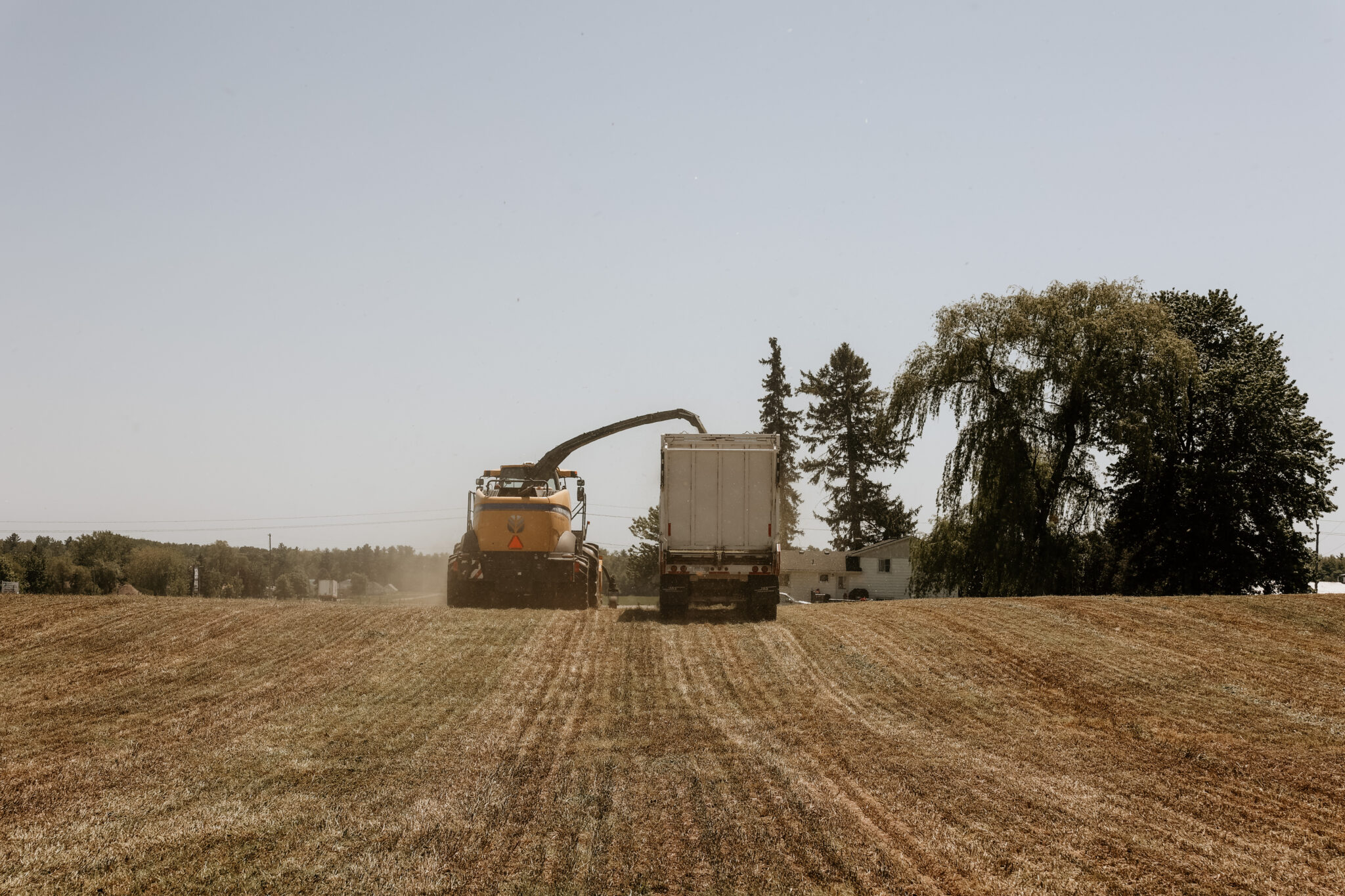 The Environmental Impact of Biogas: How Walker Farms Leads in ...