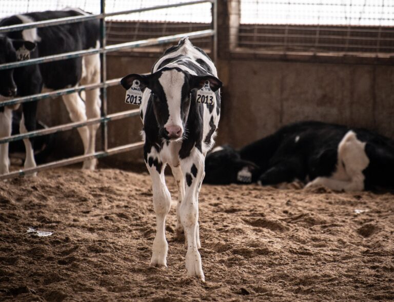 Walker Farms Dairy - Why Family Farms Matter