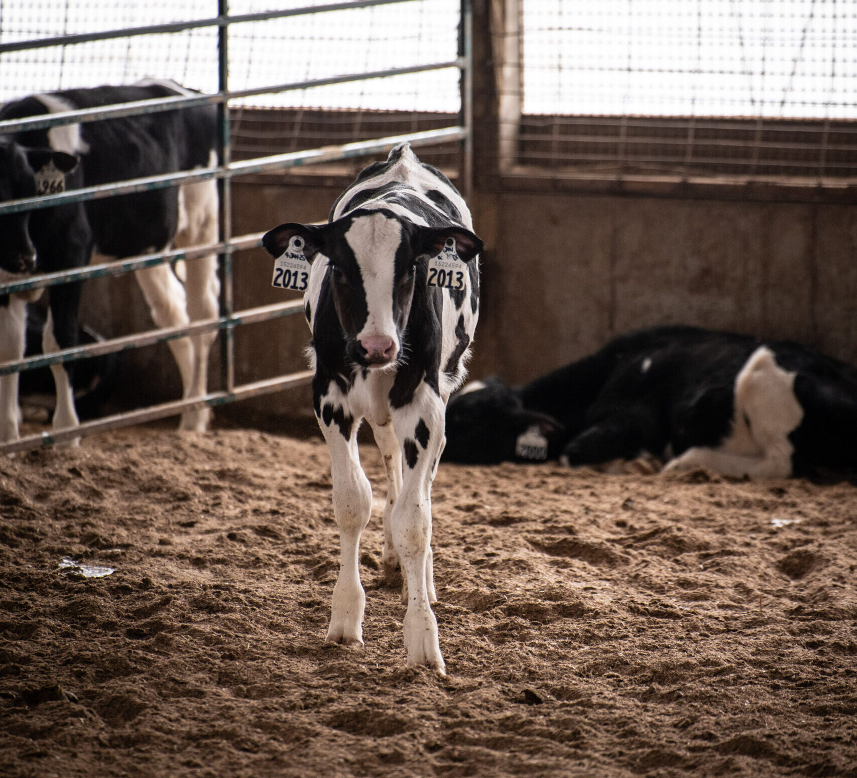 Walker Farms Dairy - Why Family Farms Matter
