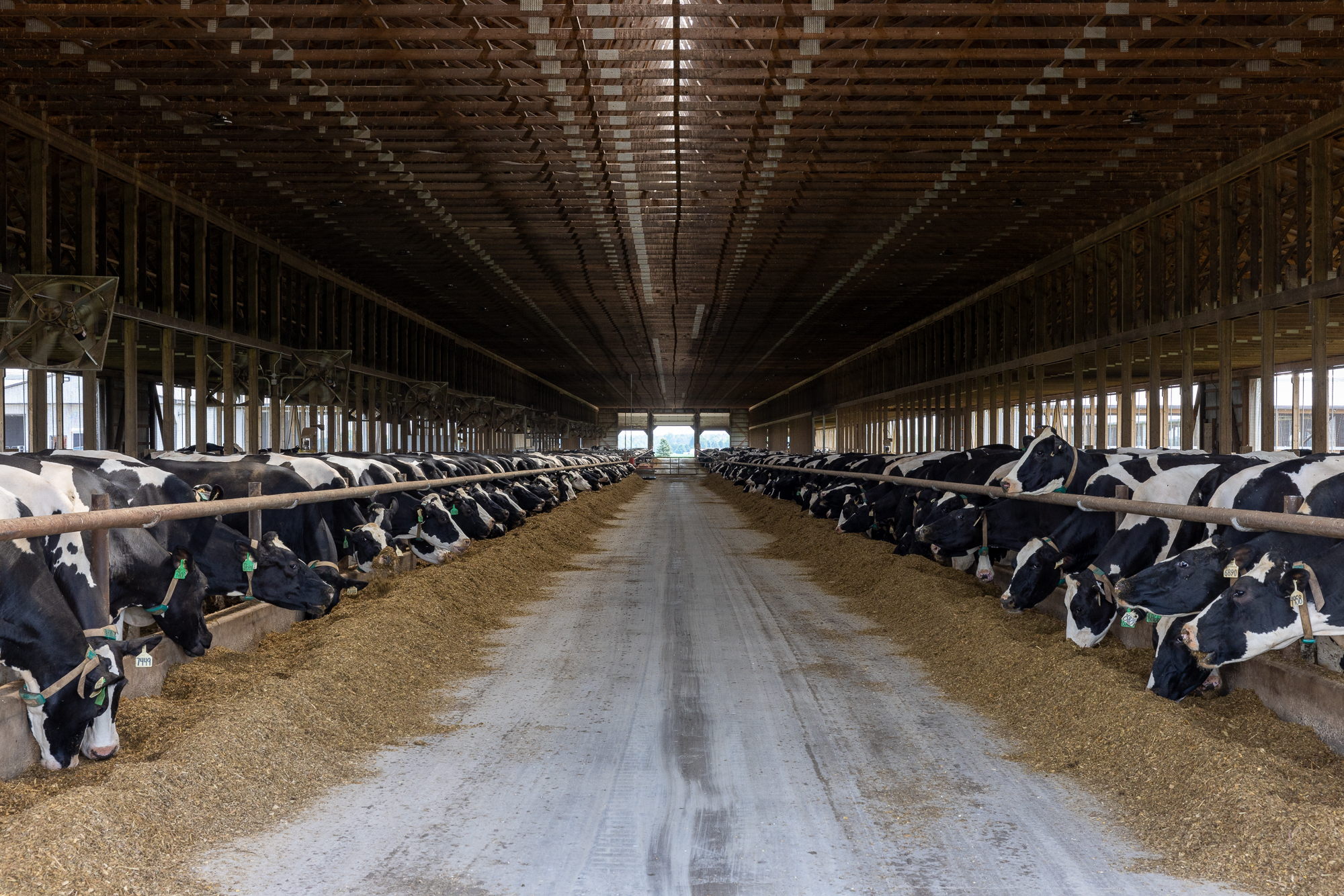 Walker Farms | The Milk Journey: How Milk is Made